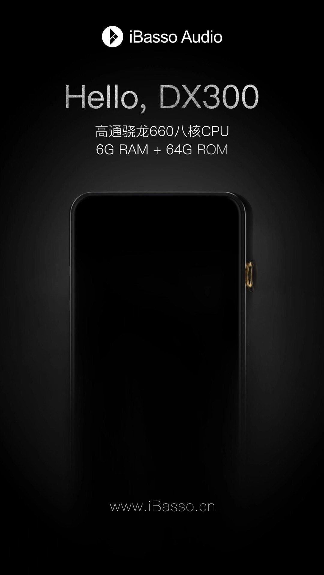 iBasso DX300 - SLaudio - TAI NGHE VIỆT Headphone Store